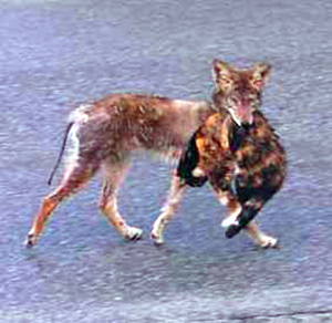 Hunting Season Underway